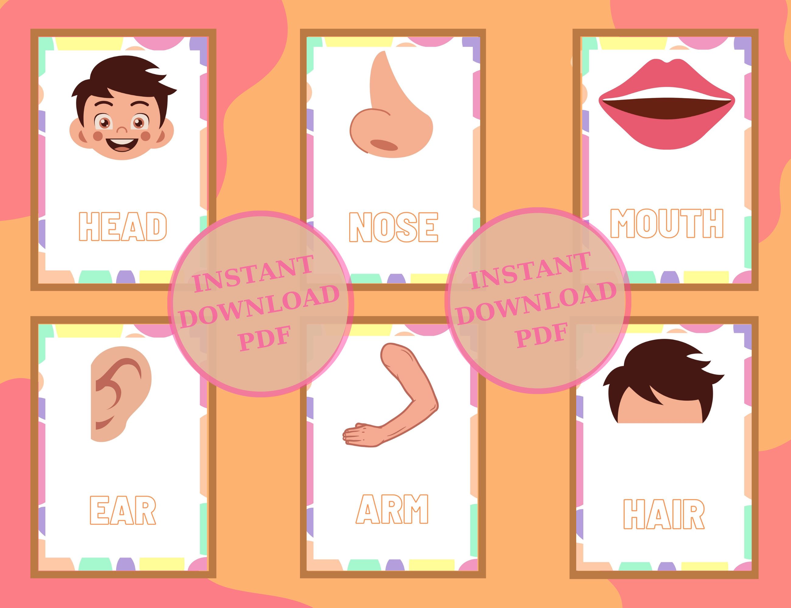 Body Parts Flashcards and Worksheets - paylasogretkazan.com